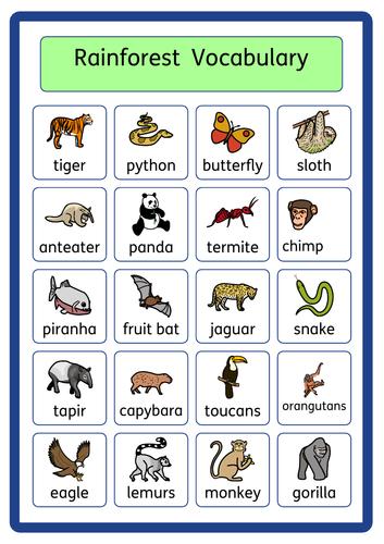 Rainforest Vocabulary | Teaching Resources