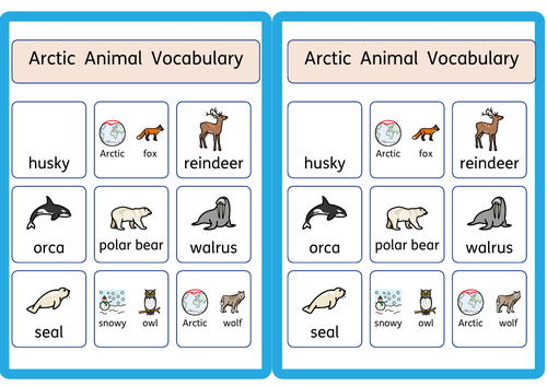 Arctic Animal Vocabulary | Teaching Resources