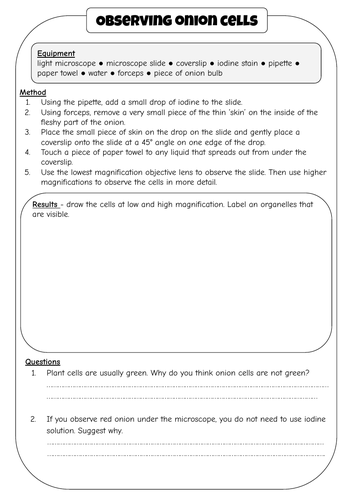 Observing plant and animal cells Worksheet | Teaching Resources