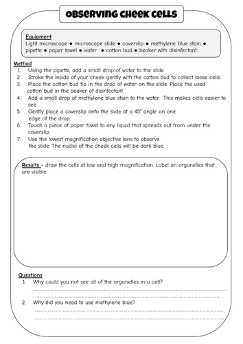 Observing plant and animal cells Worksheet | Teaching Resources