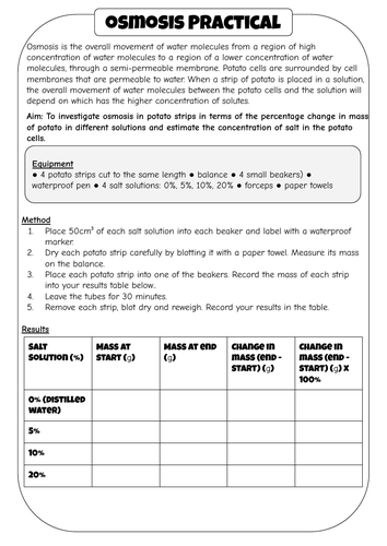 Osmosis in Potatoes Lab Activity Worksheet | Teaching Resources