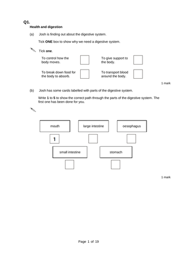 Y6 Science End of Year Test (Mixed Topics) | Teaching Resources