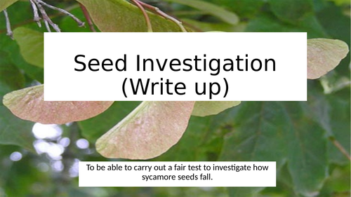 seed investigation | Teaching Resources