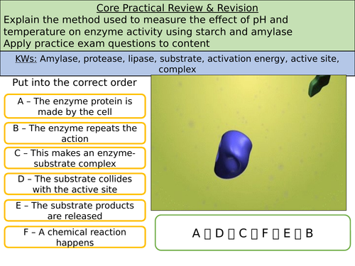 L4 to L6 - 2.11 to 2.14B - Factors Affecting Enzymes, Core Practicals ...
