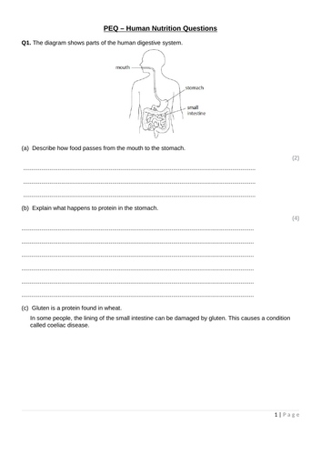 L3 to L4 - 2.27 to 2.32 - Digestive System / Alimentary Canal (IGCSE ...