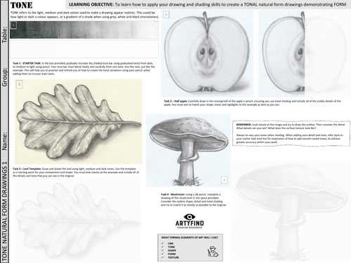 Natural Form Tone Drawings 1 | Teaching Resources