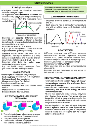Biomolecules & Enzymes GCSE REVISION GUIDE | Teaching Resources
