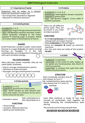 Biomolecules & Enzymes GCSE REVISION GUIDE | Teaching Resources