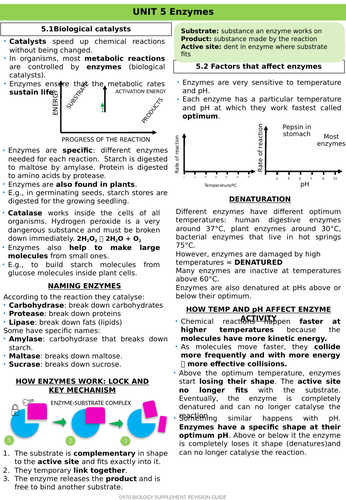 Biomolecules & Enzymes GCSE REVISION GUIDE | Teaching Resources