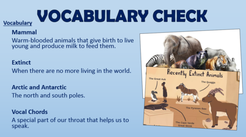 Blue Whales Non-Fiction Text - KS1 Whole Class Reading Session ...