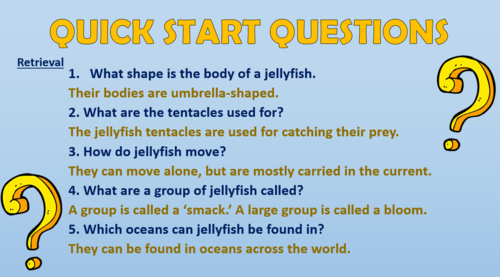 Jellyfish Non-Fiction - KS1 Whole Class Reading Session! | Teaching ...
