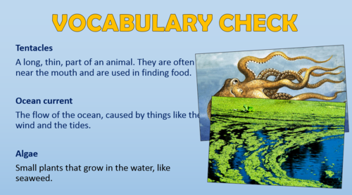 Jellyfish Non-Fiction - KS1 Whole Class Reading Session! | Teaching ...