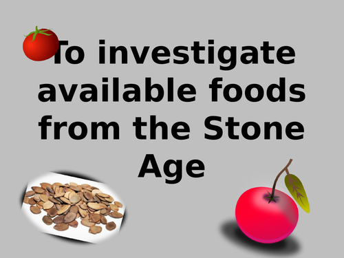 Stone Age Food | Teaching Resources