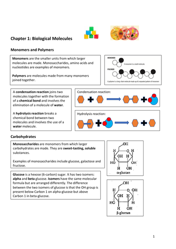 AQA A-Level Biology Chapter 1: Biological Molecules Notes | Teaching ...