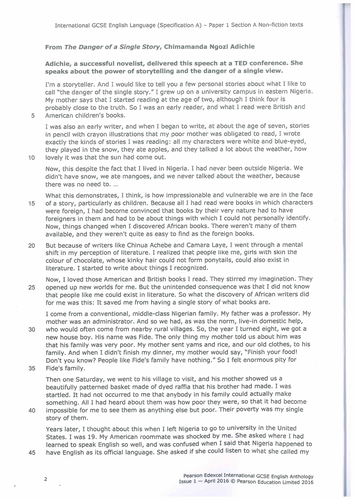 Editable Danger of a Single Story Slides | Teaching Resources