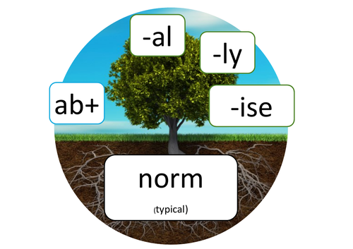 Root Words and Affixes Display | Teaching Resources