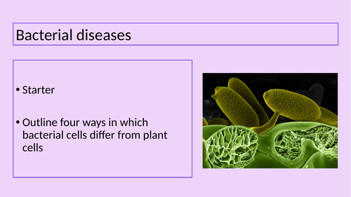 AQA GCSE Biology bacterial diseases | Teaching Resources