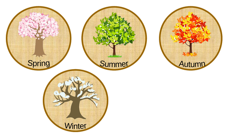 The Seasons Natural resource | Teaching Resources