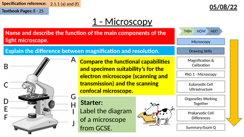 Microscopy OCR A Bio | Teaching Resources