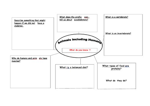 Year 3 Science Animals including Humans - Lesson 1 | Teaching Resources