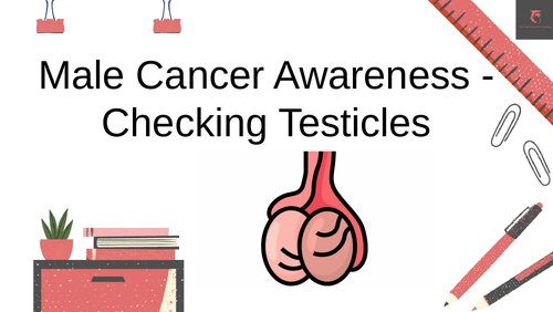 Male Cancer Testicle Check Tutorial | Teaching Resources
