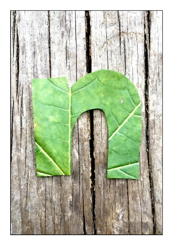 Nature alphabet with natural loose parts | Teaching Resources