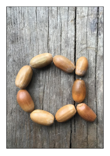 Nature alphabet with natural loose parts | Teaching Resources