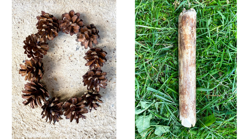 Natural Numbers 0-20 Free! | Teaching Resources