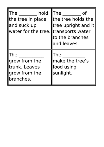 KS1 plants and evergreen and Deciduous trees (year 1&2) | Teaching ...