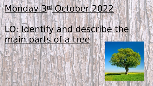 KS1 plants and evergreen and Deciduous trees (year 1&2) | Teaching ...