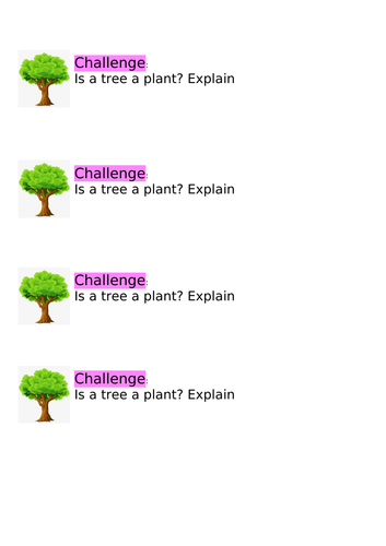 KS1 plants and evergreen and Deciduous trees (year 1&2) | Teaching ...