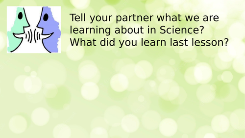 KS1 plants and evergreen and Deciduous trees (year 1&2) | Teaching ...