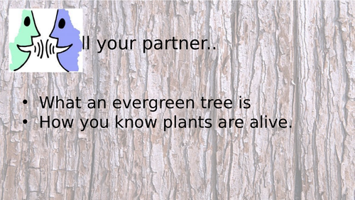 KS1 plants and evergreen and Deciduous trees (year 1&2) | Teaching ...