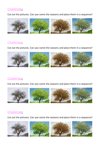 KS1 plants and evergreen and Deciduous trees (year 1&2) | Teaching ...