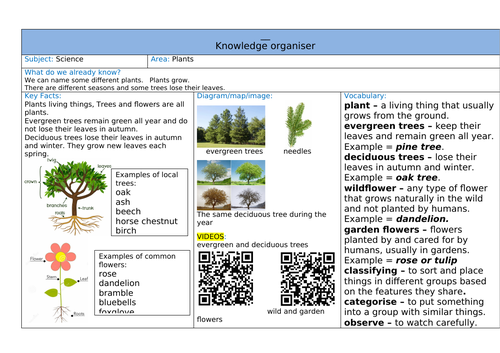 KS1 plants and evergreen and Deciduous trees (year 1&2) | Teaching ...