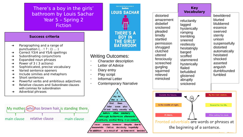 Knowledge Organiser - There's a boy in the girls' bathroom by Louis ...