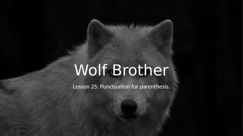 Wolf Brother scheme and lessons (could link to Stone Age to Iron Age as ...