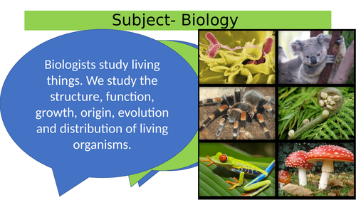 KS3 Biology Cells topic lessons | Teaching Resources