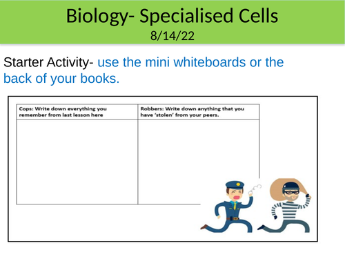 KS3 Biology Specialised Cells Lesson | Teaching Resources