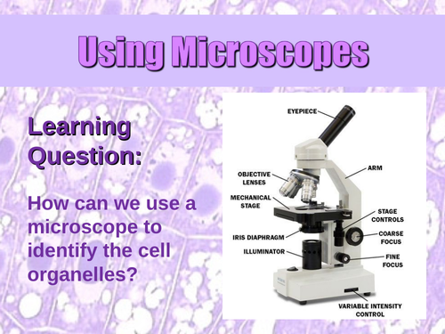 Drawing from Microscopes | Teaching Resources