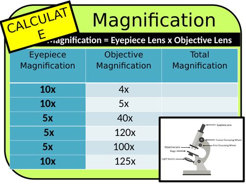 Calculating Magnification | Teaching Resources Calculating Magnification | Teaching Resources