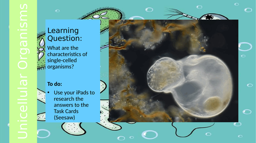 Unicellular Organisms | Teaching Resources