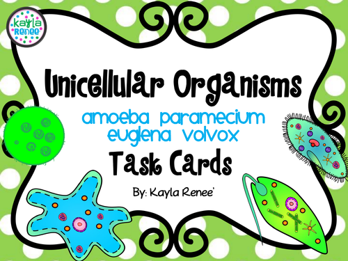 Unicellular Organisms | Teaching Resources
