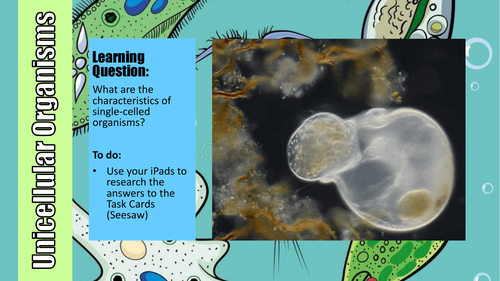 Unicellular Organisms | Teaching Resources