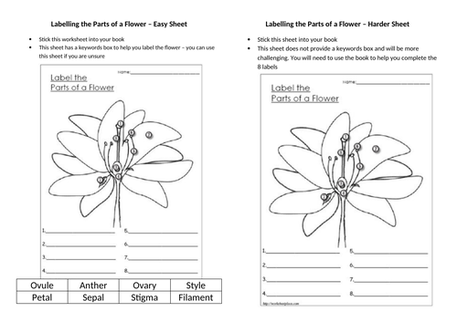 Plant Reproductive Anatomy | Teaching Resources