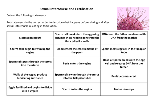 Sexual Intercourse and Fertilisation | Teaching Resources
