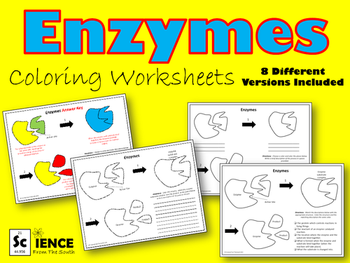 Enzyme Structure and Function | Teaching Resources