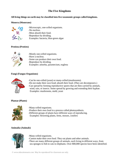 The Five Kingdoms | Teaching Resources