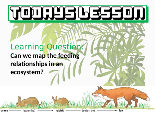 Food Chains, Pyramids and Biomass | Teaching Resources