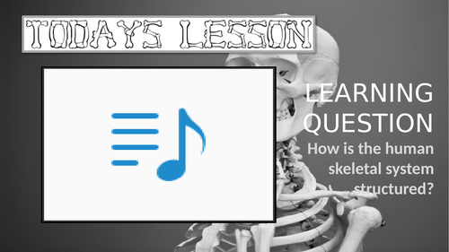 Human Skeletal Anatomy | Teaching Resources